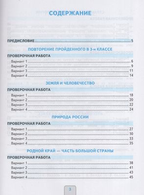 Окружающий мир. 4 класс. Проверочные работы. К учебнику А.А. Плешакова ...