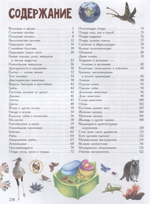 Детская энциклопедия в 2000 иллюстраций, которые можно рассматривать ...