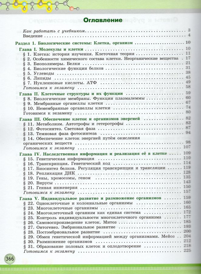 Биология. 10 класс. Учебник. Углубленный уровень - Высоцкая Л.В ...